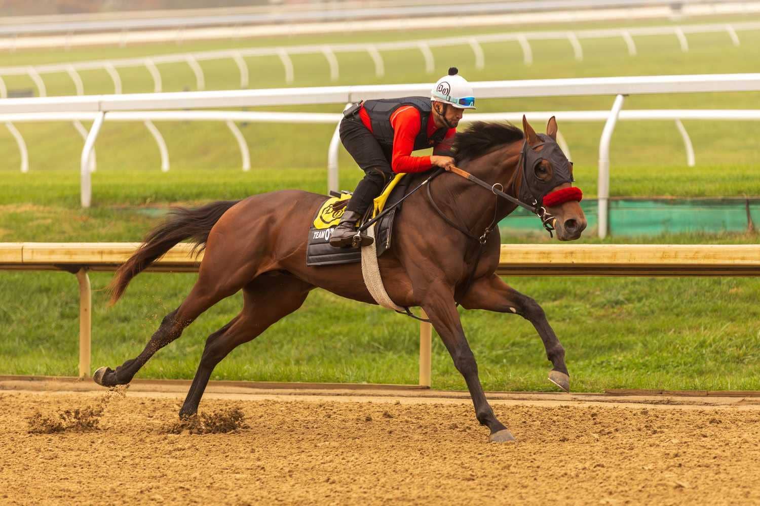 Belmont Longshot Carries Bigger Mission: Attracting Racing's Next ...