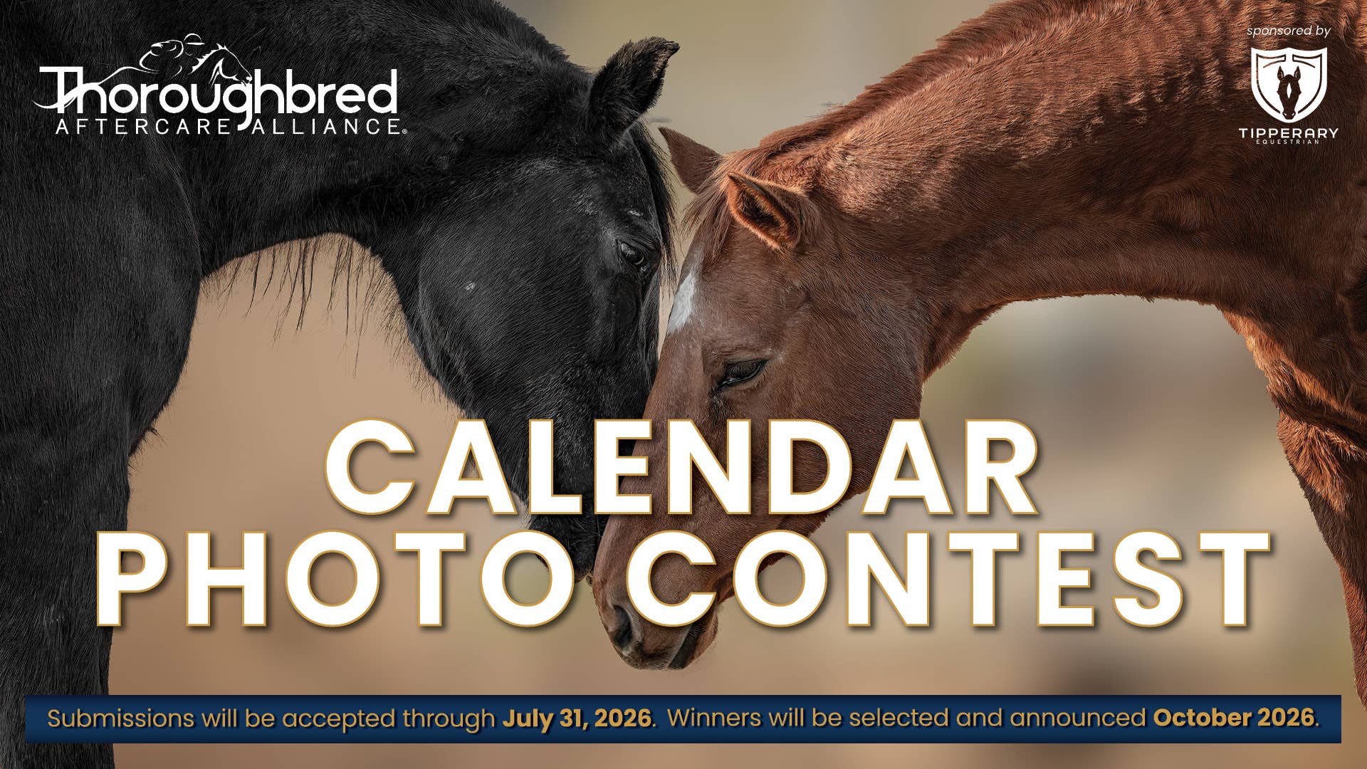 TAA Accepting Submissions For Calendar Photo Contest - Paulick Report