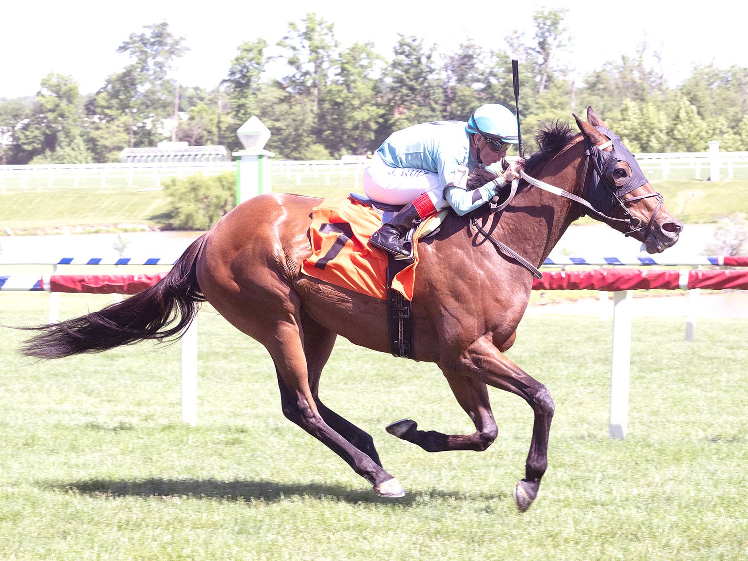 ‘Gives It Her All Every Time’: Big Earn All Heart Despite Losing Left ...