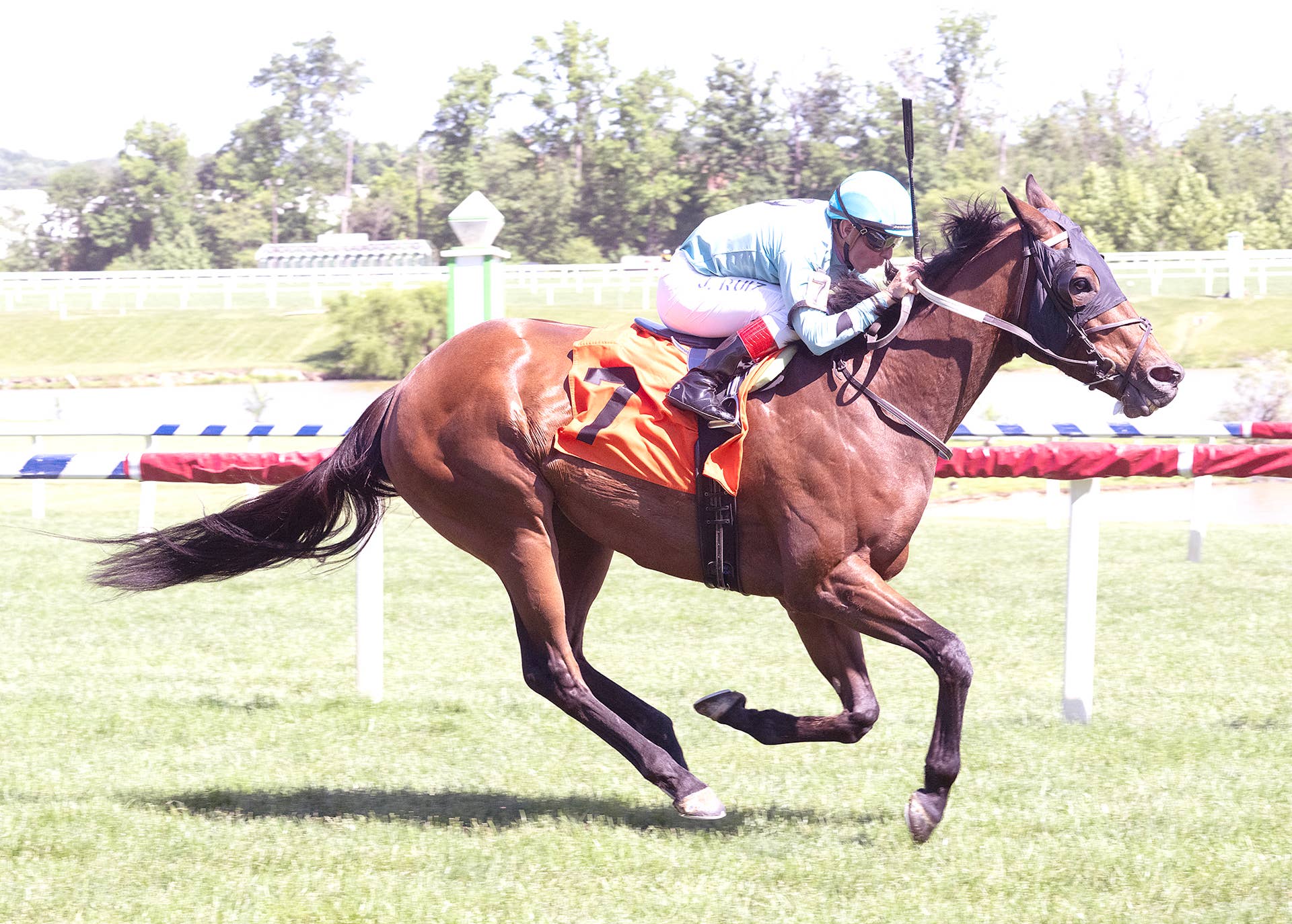 One-Eyed Big Earn Seeks First Stakes Win In Jameela - Paulick Report