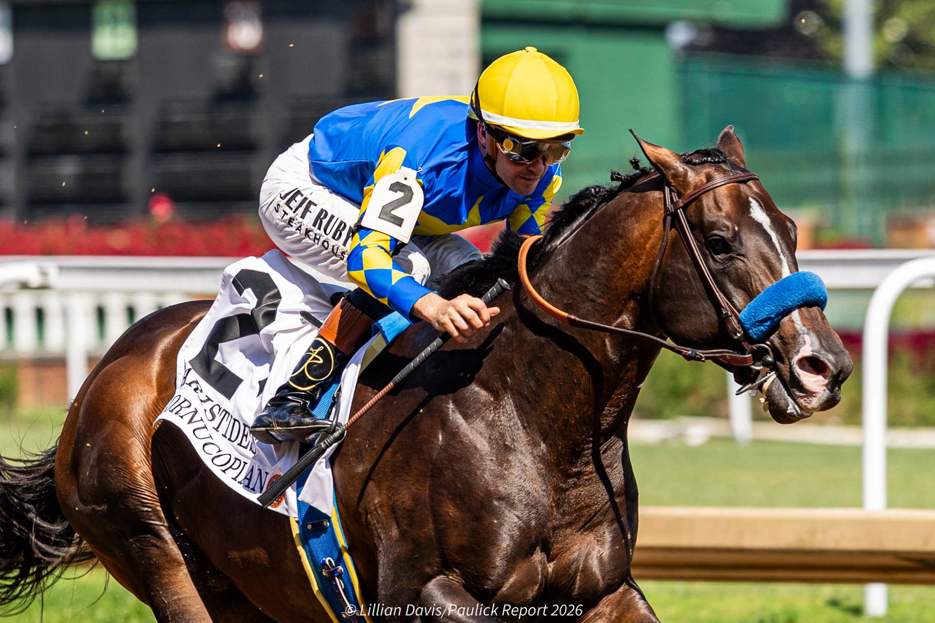 Cornucopian Leads Stephen Foster Undercard Nominees On Busy Churchill ...