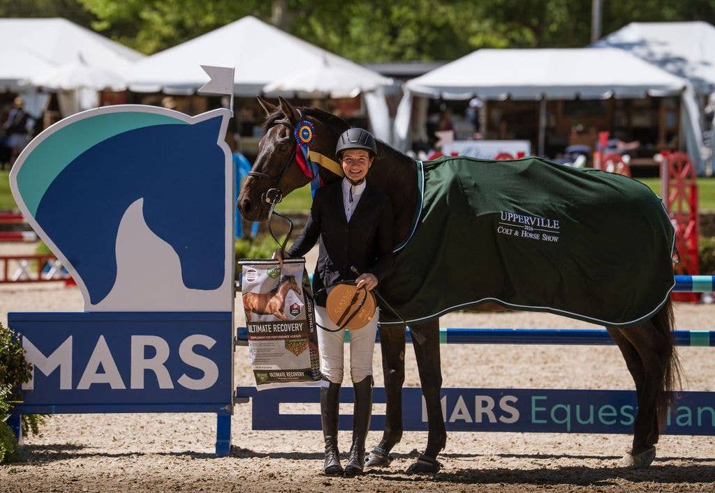 Former Claimer Mavis Wins Take2 Thoroughbred Jumper Championship ...