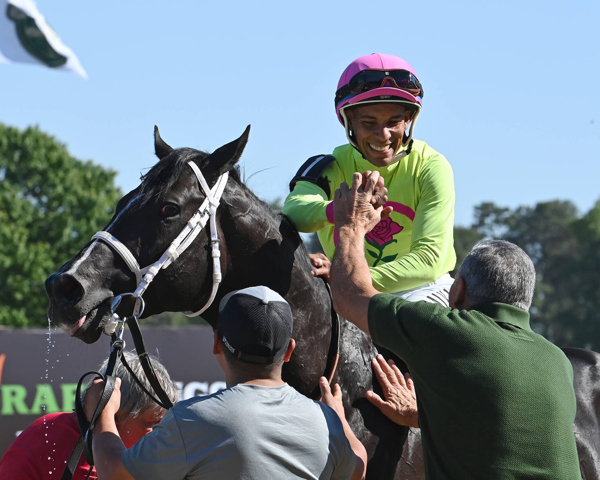 Sculcos Folly Passes 'Class Test' On New York Showcase Day - Paulick Report