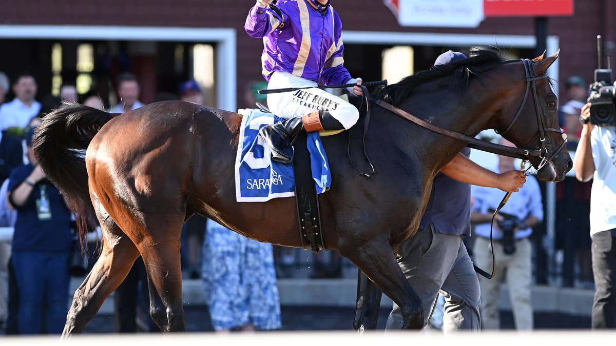 7-Year-Old Tawny Port Sets Track Record In Belmont Gold Cup - Paulick ...