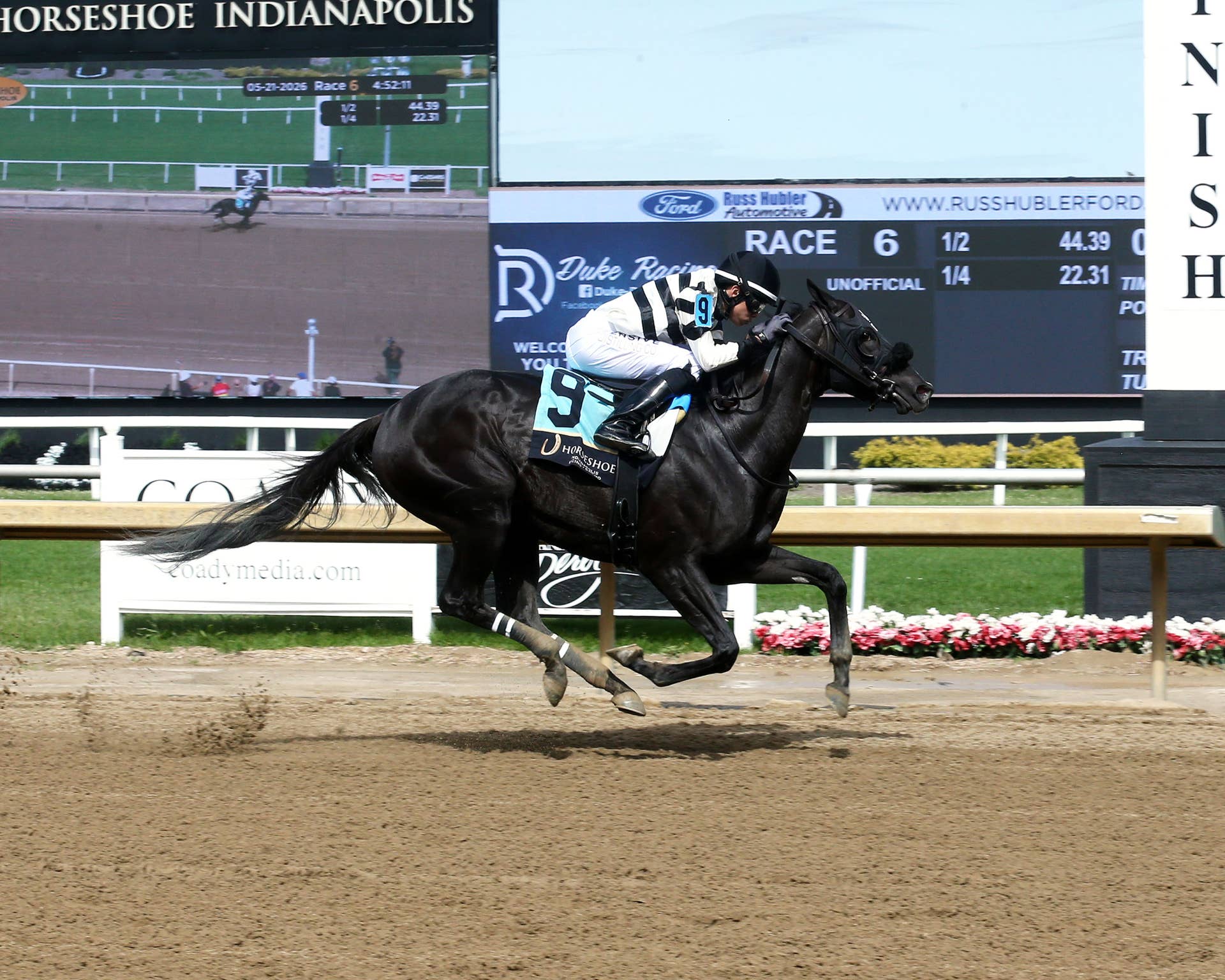 In-Form Racing Prospects Highlight Inglis Digital USA June Sale ...