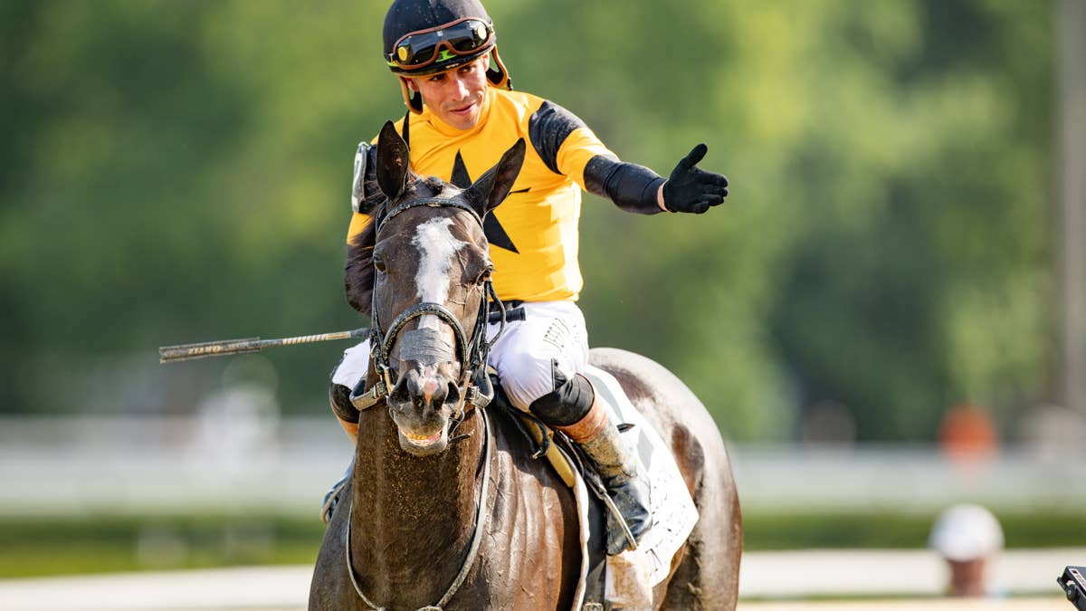 Counting Stars Turns The Tables On Always A Runner In Acorn - Paulick ...