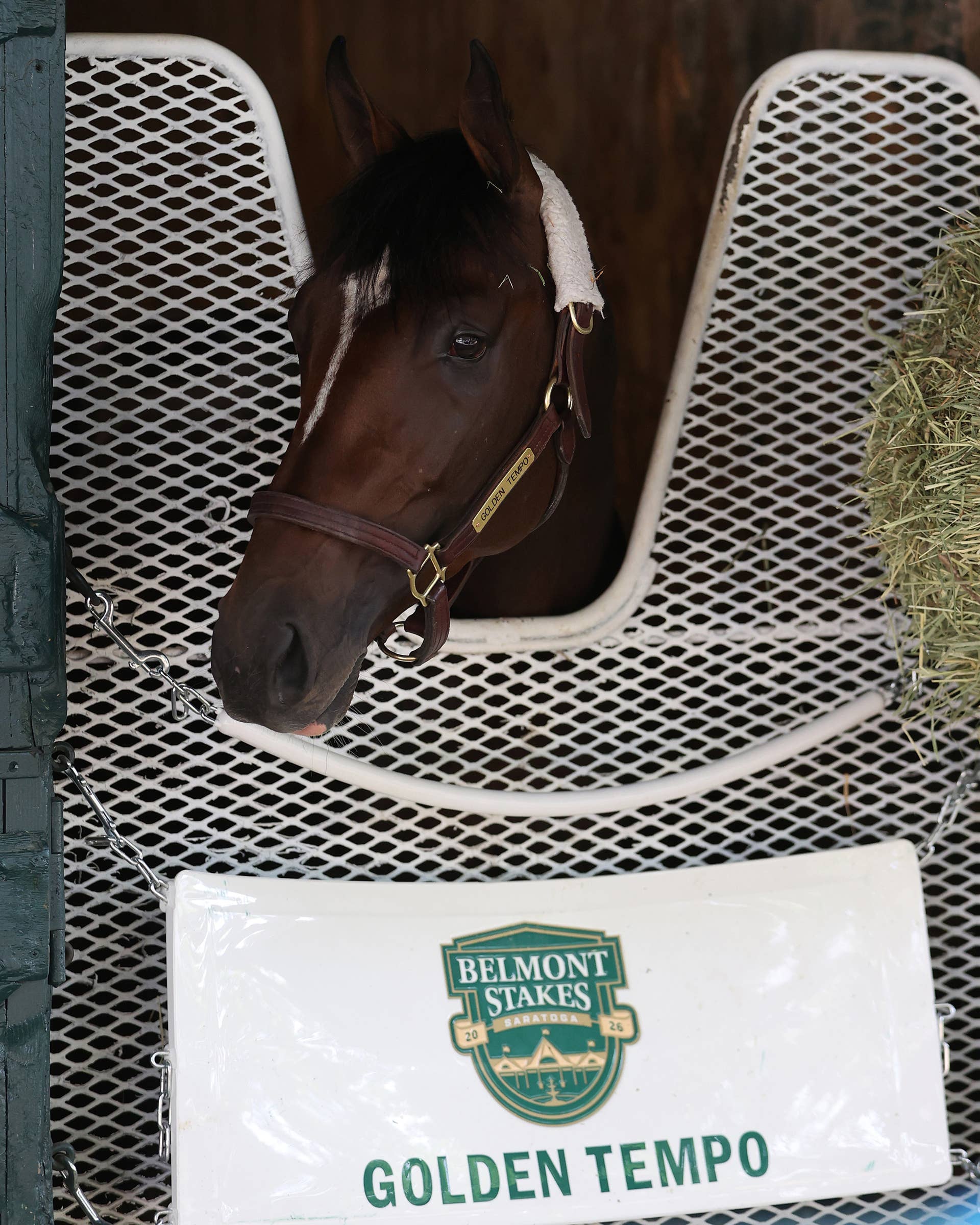 Golden Tempo To Train At Keeneland For Jim Dandy - Paulick Report