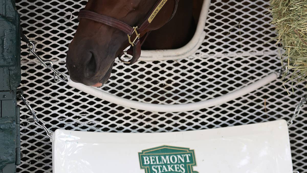 Golden Tempo To Train At Keeneland For Jim Dandy - Paulick Report