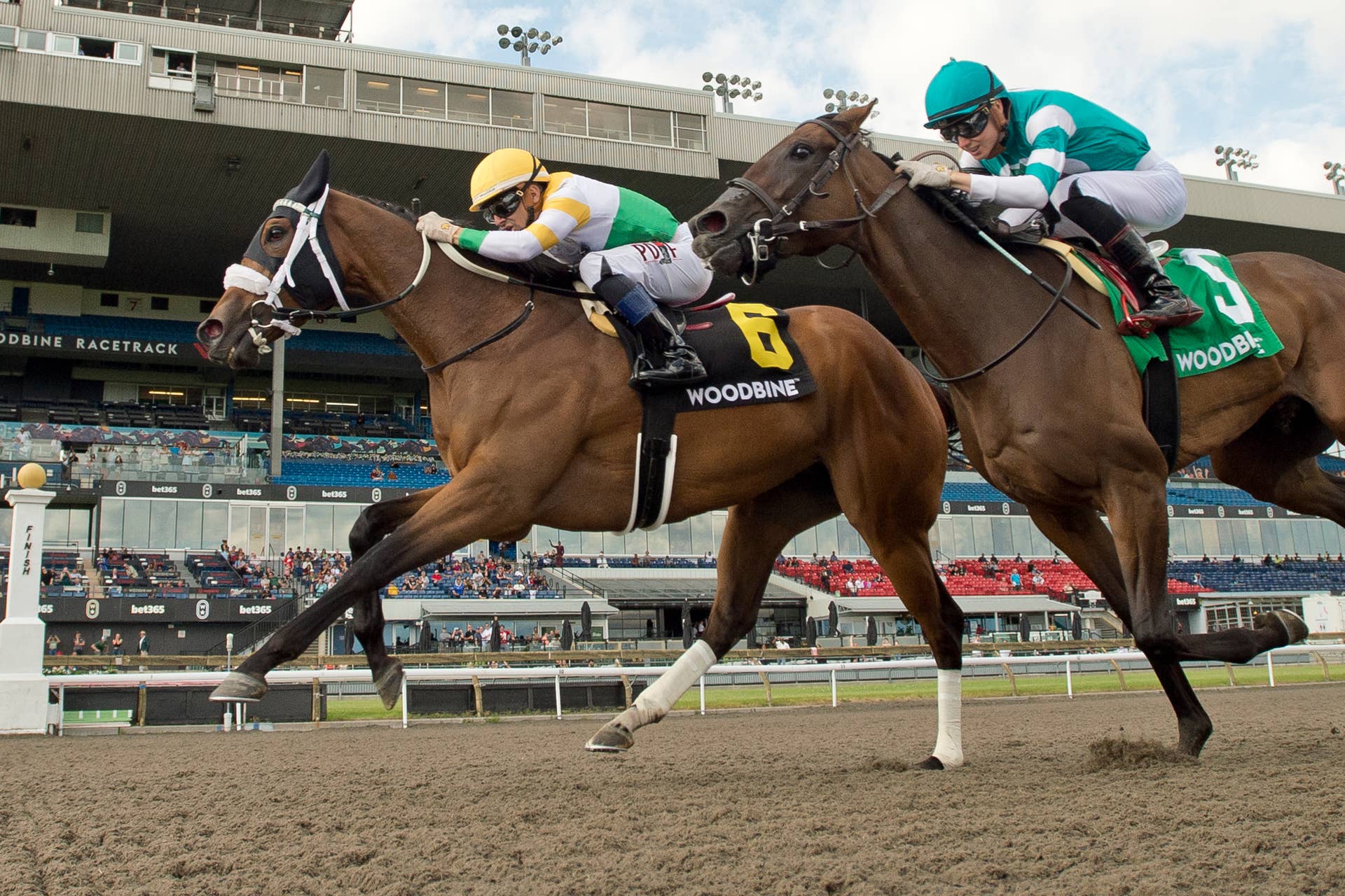 Piper’s Gift Remains Unbeaten Over Woodbine Main Track In Fury Stakes ...