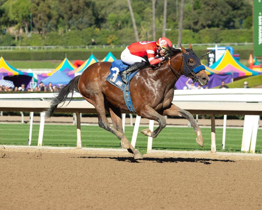 Pat Day Mile Fourth Secured Freedom Leads Affirmed Stakes - Paulick Report