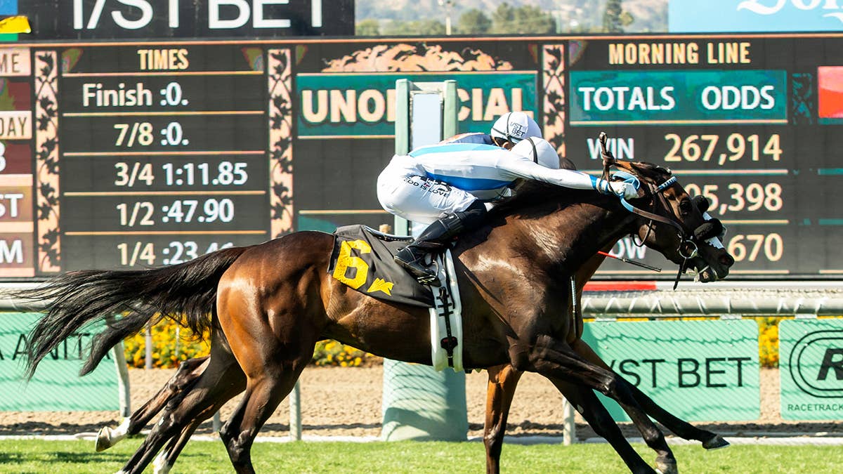 Irish Import Darya Edges Stablemate For Honeymoon Stakes Victory ...