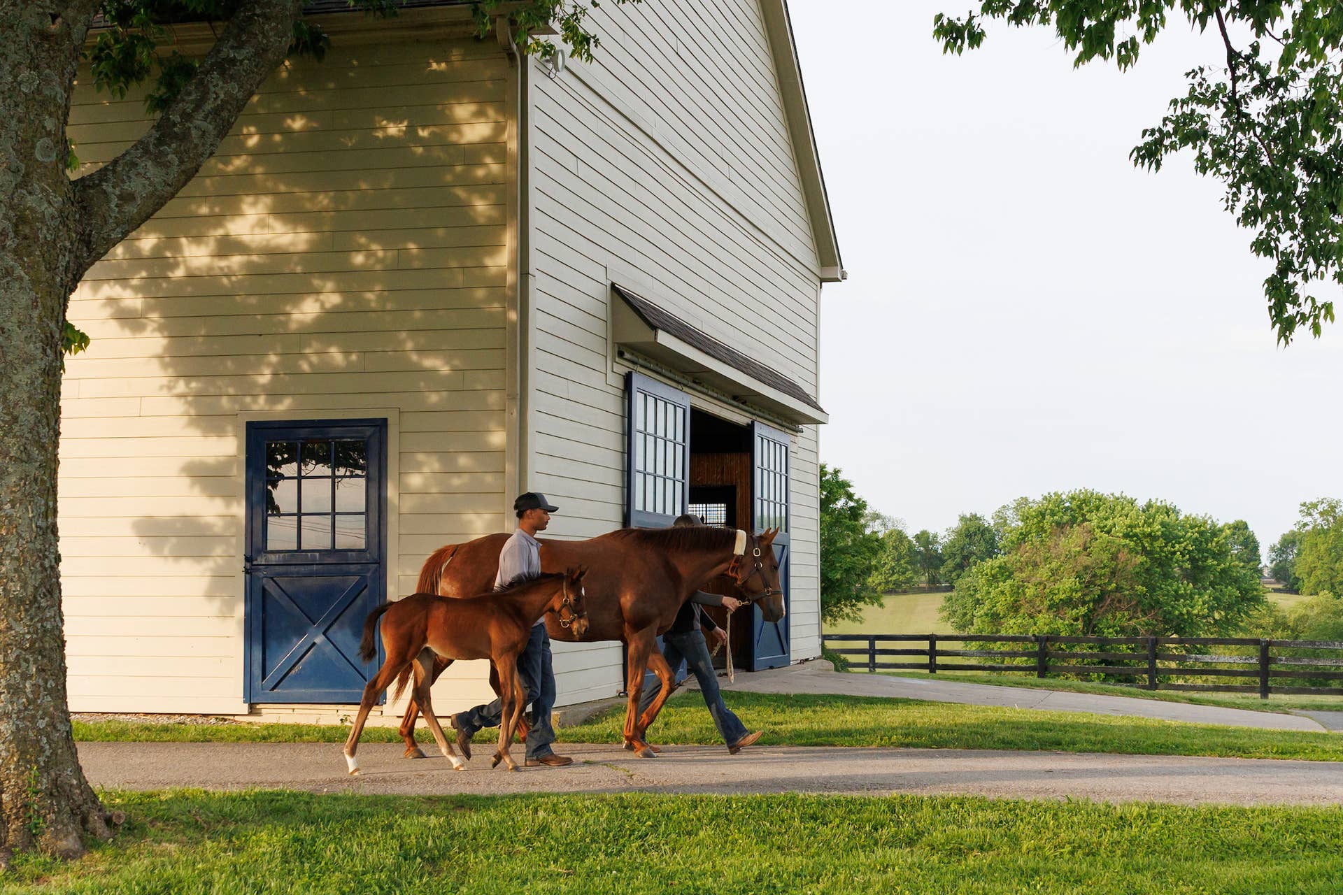 Harrell Family Announces Opening Of Reverie Farm - Paulick Report