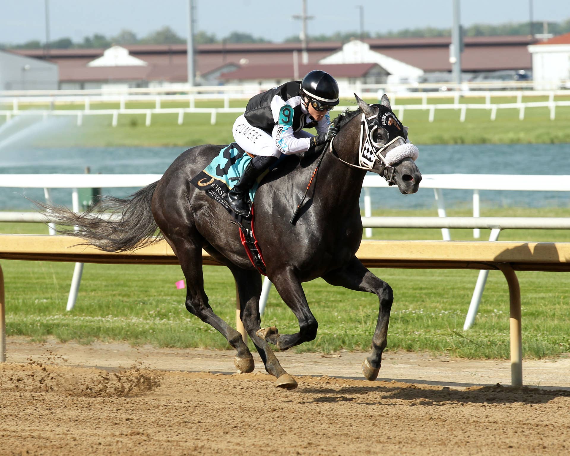 Indiana-Bred JR Shadow Boy Remains Unbeaten In Sagamore Sired Handicap ...