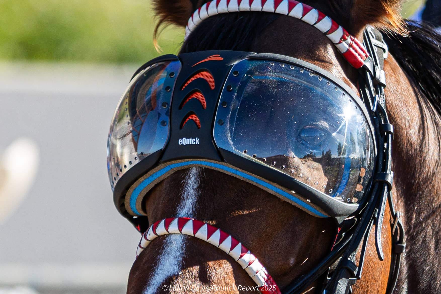 Report: Trawlerman Aided By Goggles Ahead Of Royal Ascot Gold Cup ...