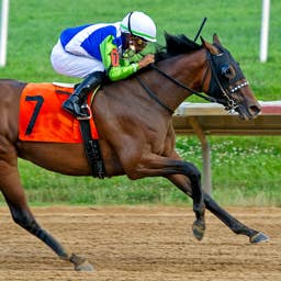 Luv Your Neighbor Gets The Job Done In Delaware Oaks - Paulick Report