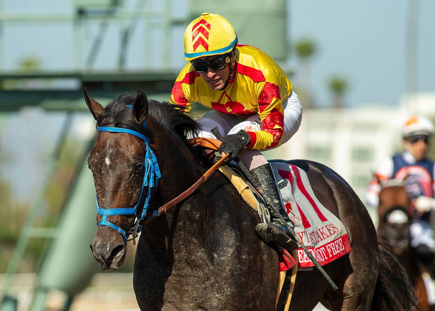 Freedom's Not Free Wears Down Favorite Sumter In Daytona Thriller ...