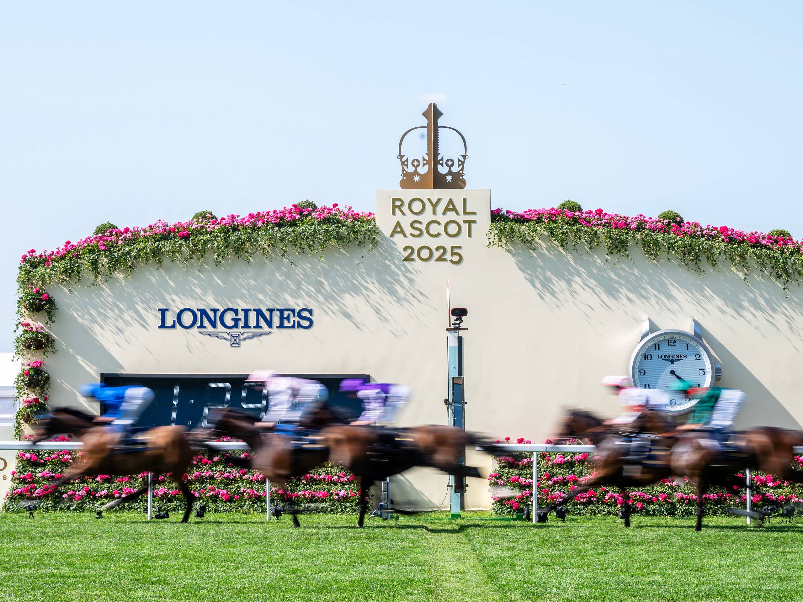 World Pool Betting Insights: Royal Ascot Brings Big Fields, Enormous ...