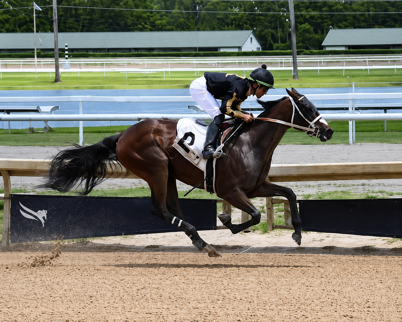 New York-Bred Maiden Spotlight: Prime Aurora's Accidental Path To A ...