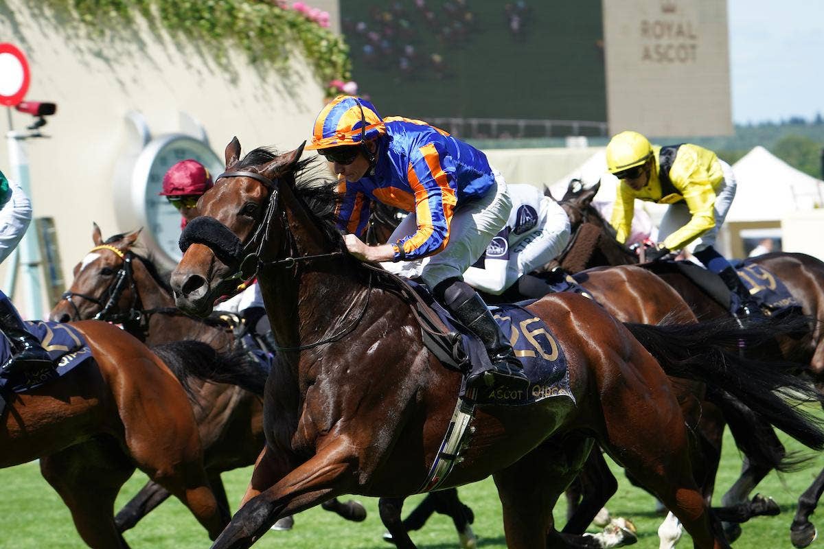Ballydoyle’s Mission Central Eyes International Targets After Winning ...
