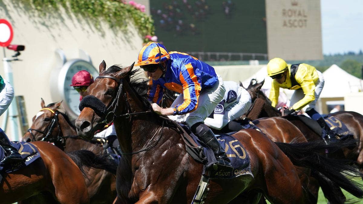 Ballydoyle’s Mission Central Eyes International Targets After Winning ...