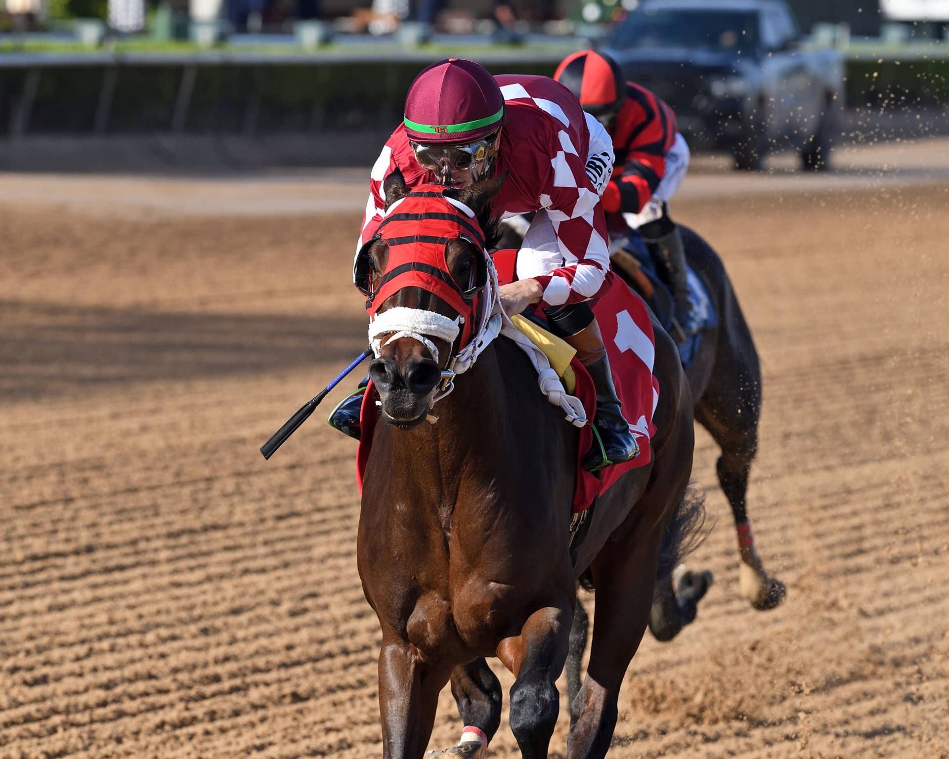 Winplaceandshow Goes For Third Straight Victory In Azalea Stakes ...