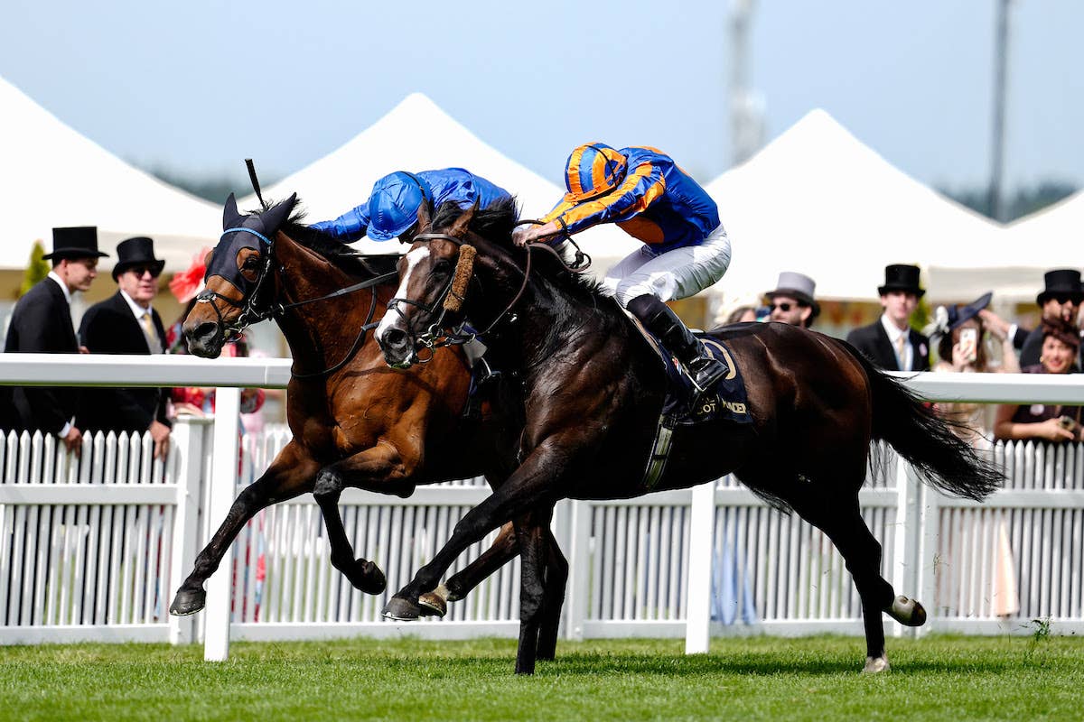 Scandinavia Provides Aidan O’Brien With 100th Royal Ascot Win In Gold ...