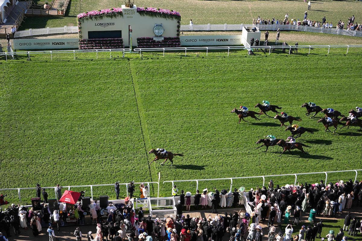 Dropped Girth: MyRacehorse's Bacio Stays Up After Jockey Weight Inquiry ...