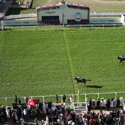 Dropped Girth: MyRacehorse's Bacio Stays Up After Jockey Weight Inquiry ...