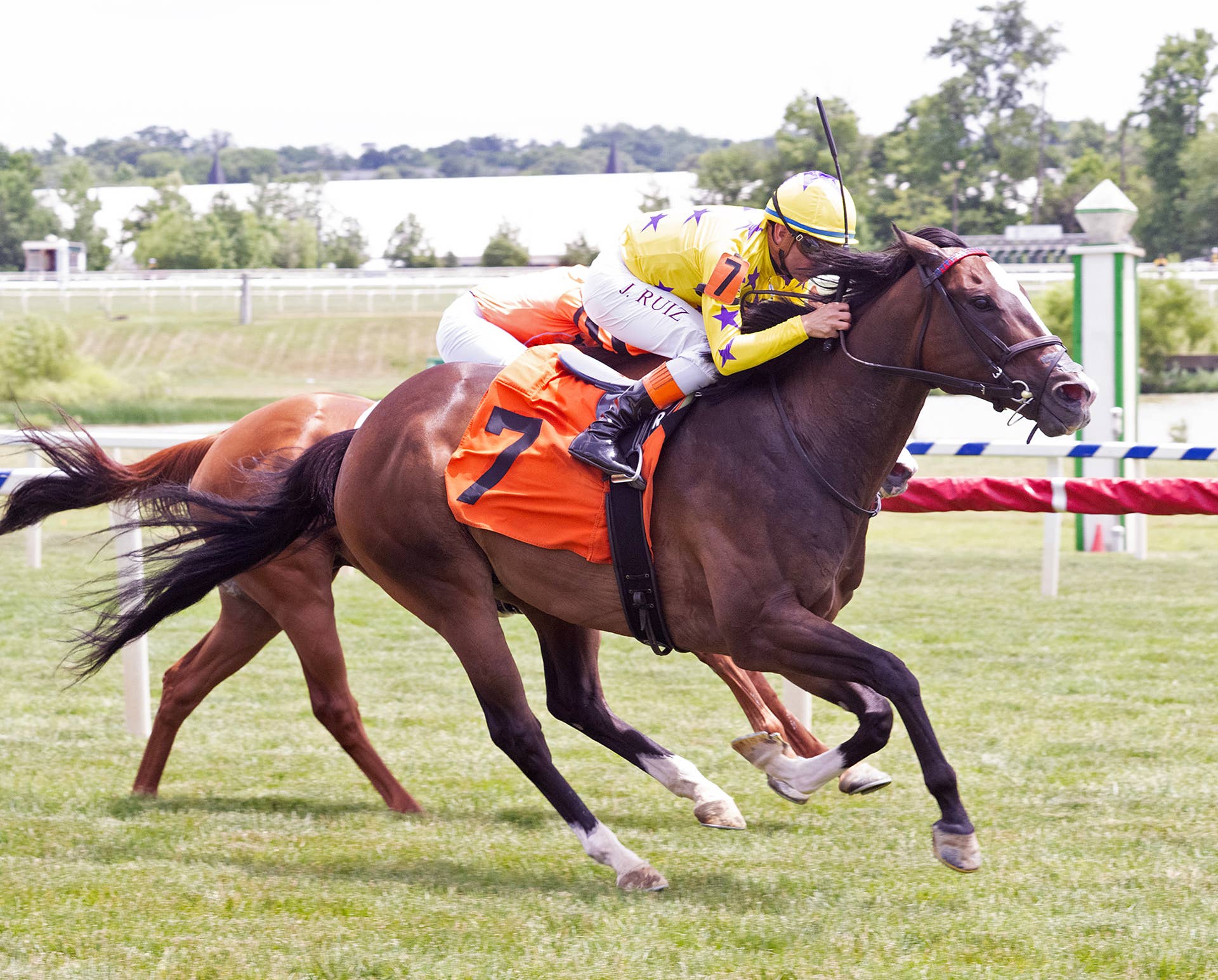 Isivunguvungu Kicks Off 8-Year-Old Campaign With Laurel Win - Paulick ...