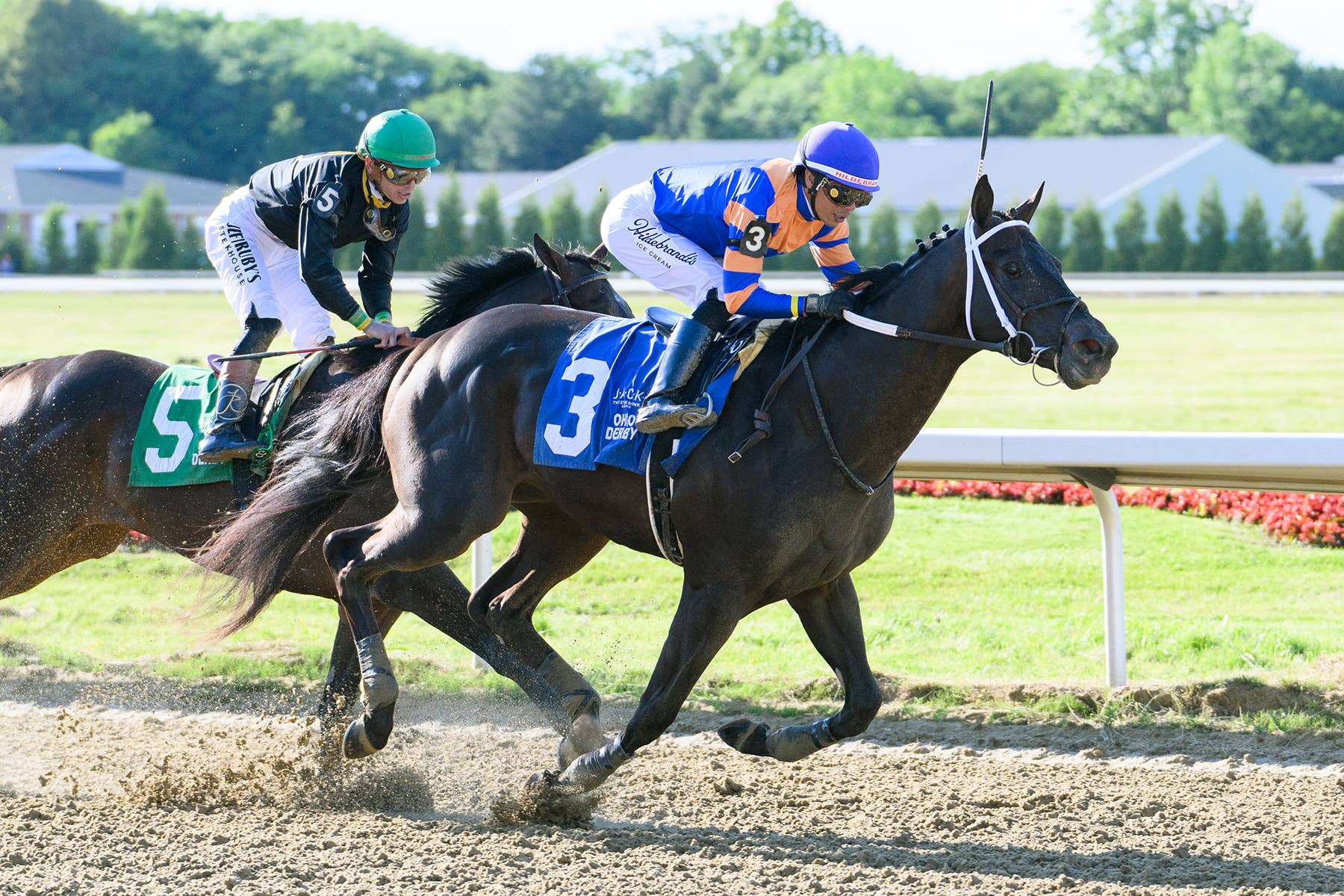 Bloodlines Presented By Walmac Farm: Connect, The Ohio Derby, And The ...