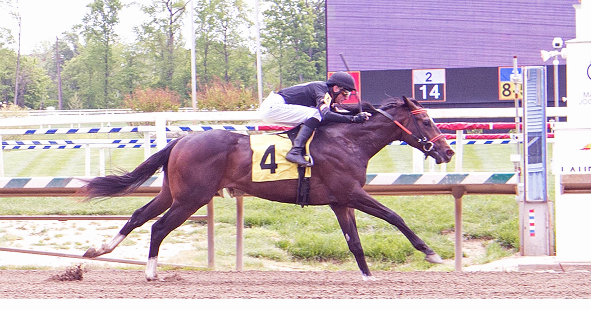 West Virginia-Bred Call Me Micky J. Rolls Into Bashford Manor Stakes ...