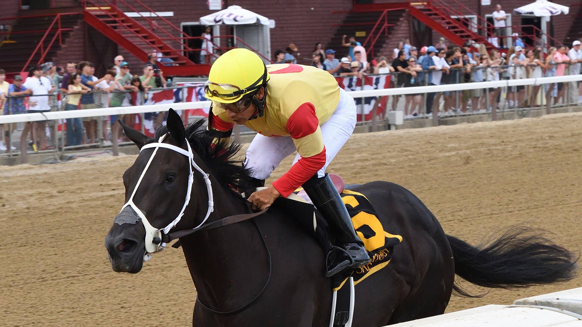 'She's Special': Harper’s Corner Wire-To-Wire Winner Of Schuylerville ...