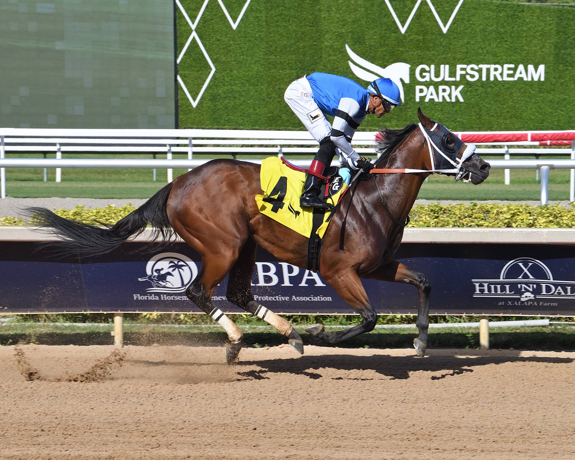 Viking Takes Smile Sprint With Front-End Cruise - Paulick Report