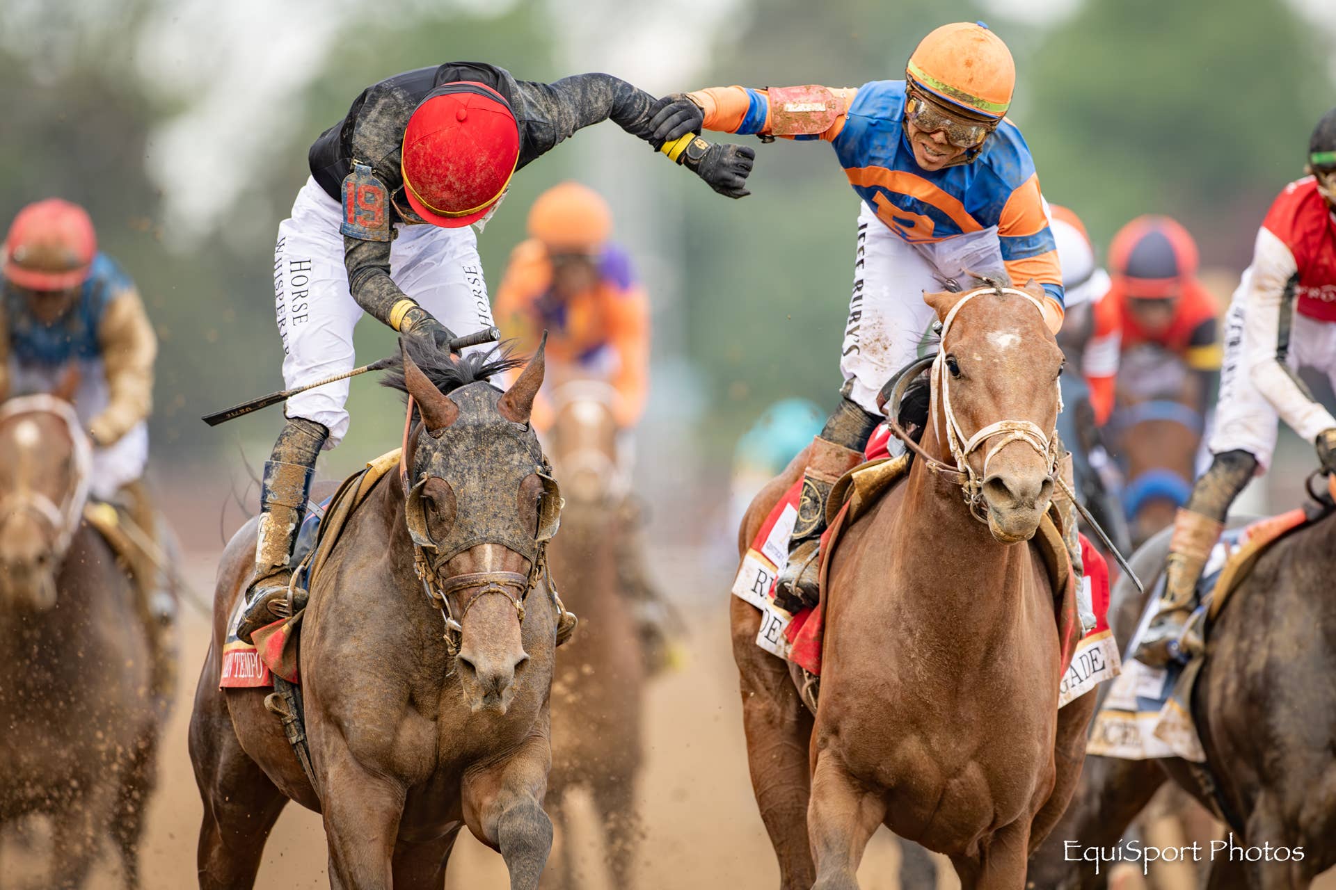 Renegade Favored Over Kentucky Derby Winner Golden Tempo For 158th ...