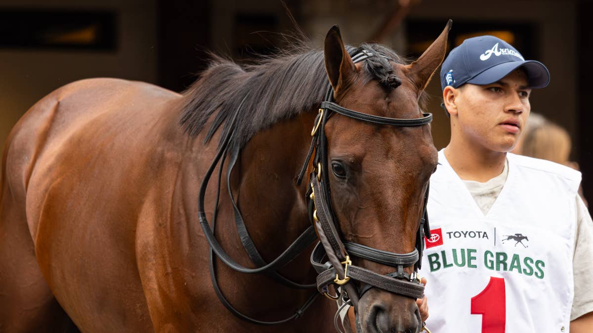 Breeders' Cup Present Connections: Talkin Takes Road Less Traveled To ...