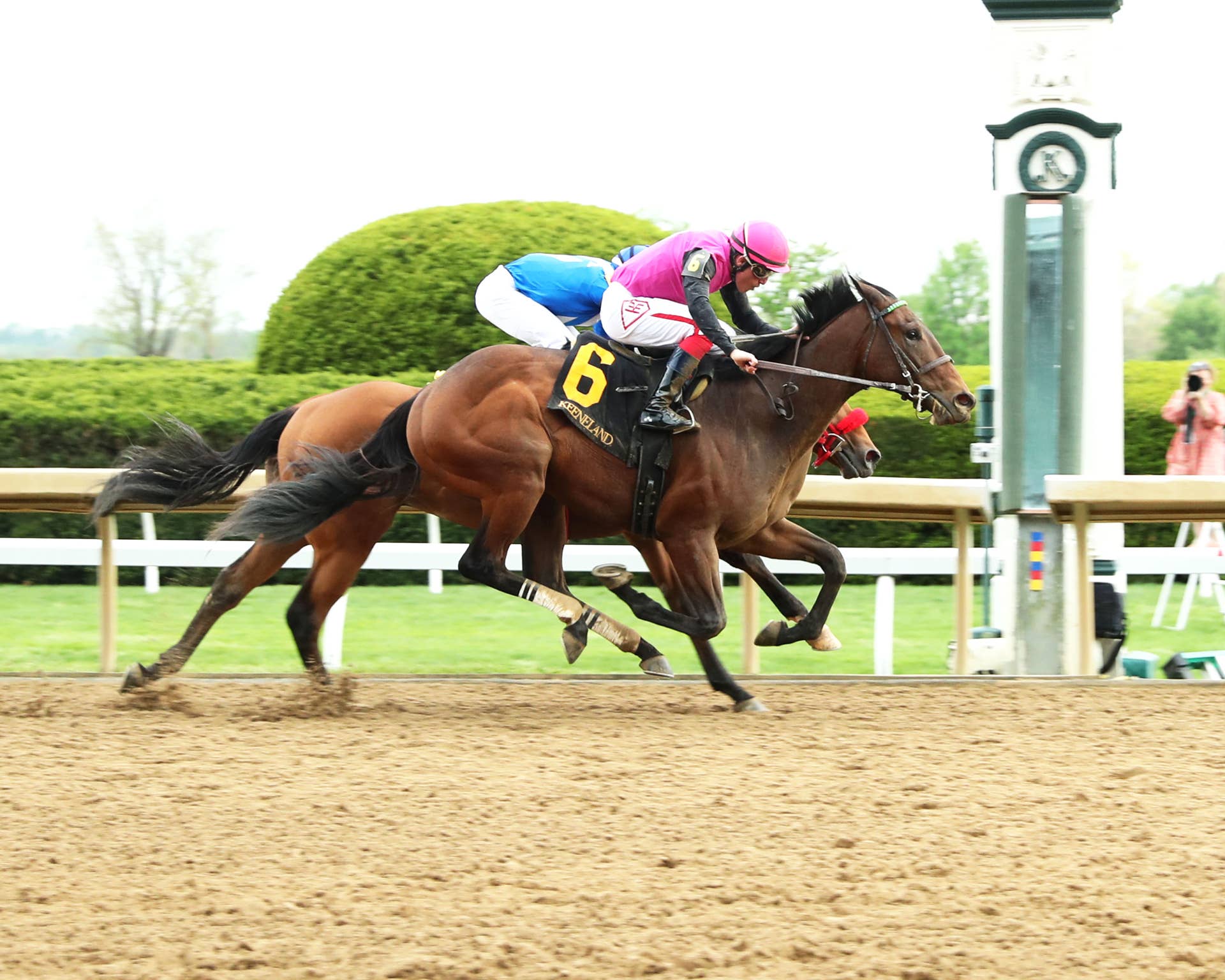Maiden Winner Blessed Flyer Highlights Fasig-Tipton May Digital Sale ...
