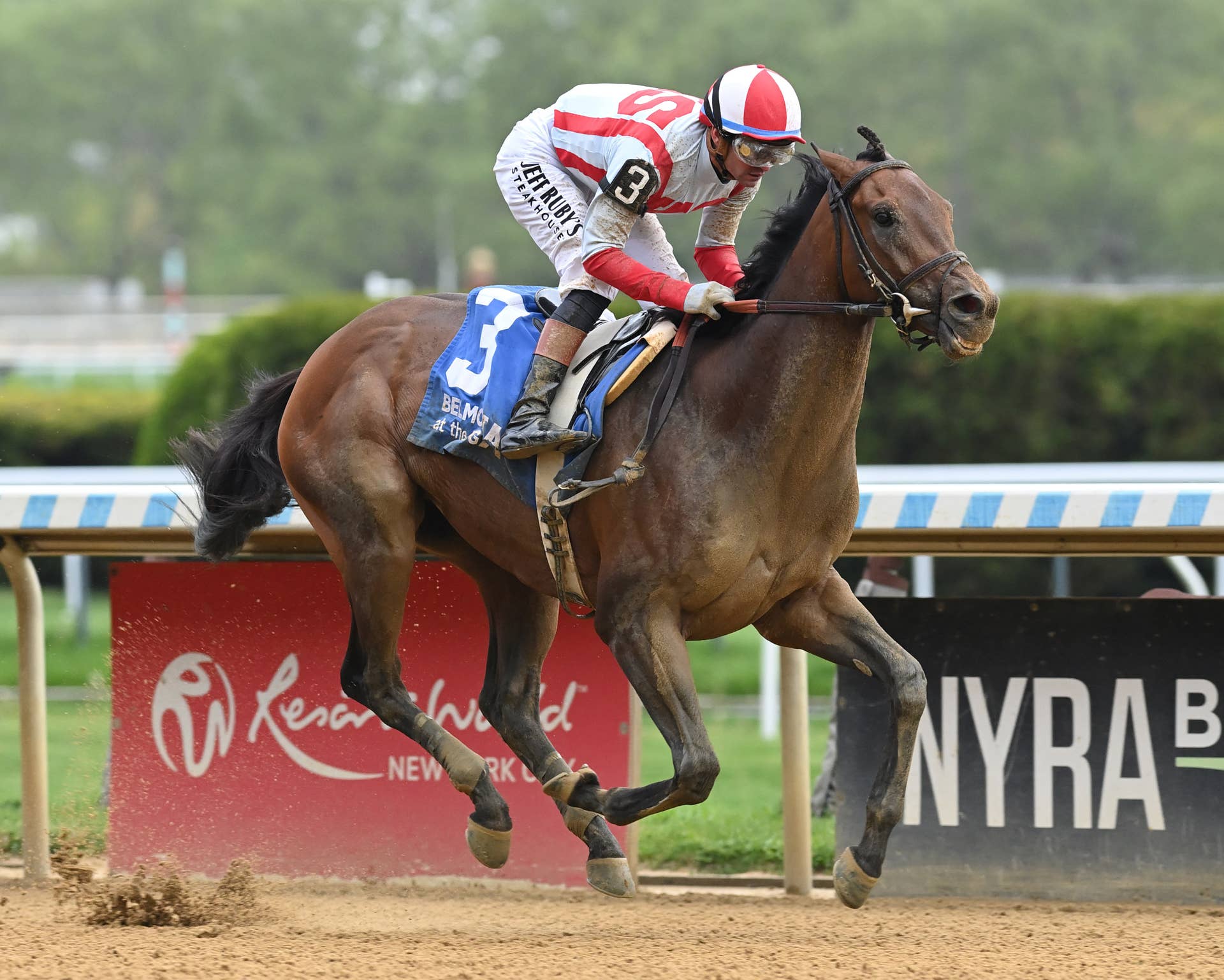 Bloodlines Presented By Walmac Farm: The Secretariat Effect - Paulick ...