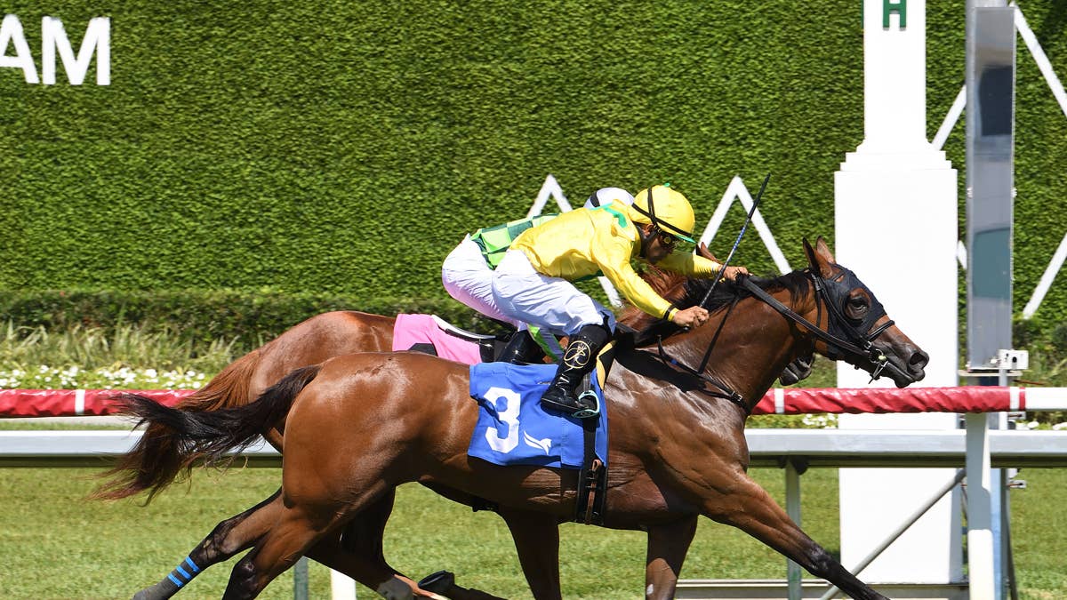 Rain Or Shine, Celtic Dispute Will Run In Royal Ascot’s Queen Mary ...