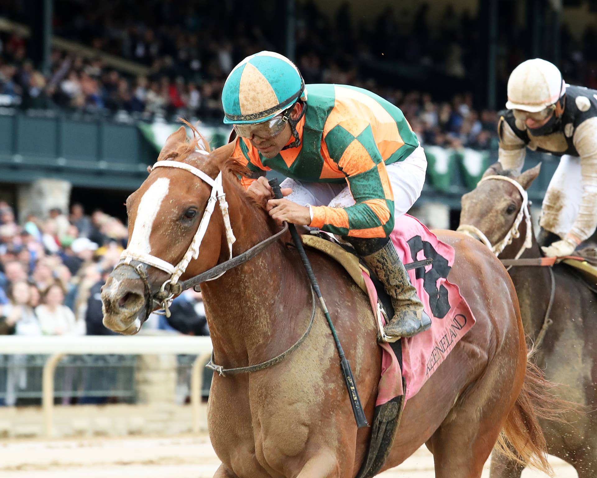 Two-Time Stakes Winner Peach Tie Set For Graded Stakes Bow In Miss ...