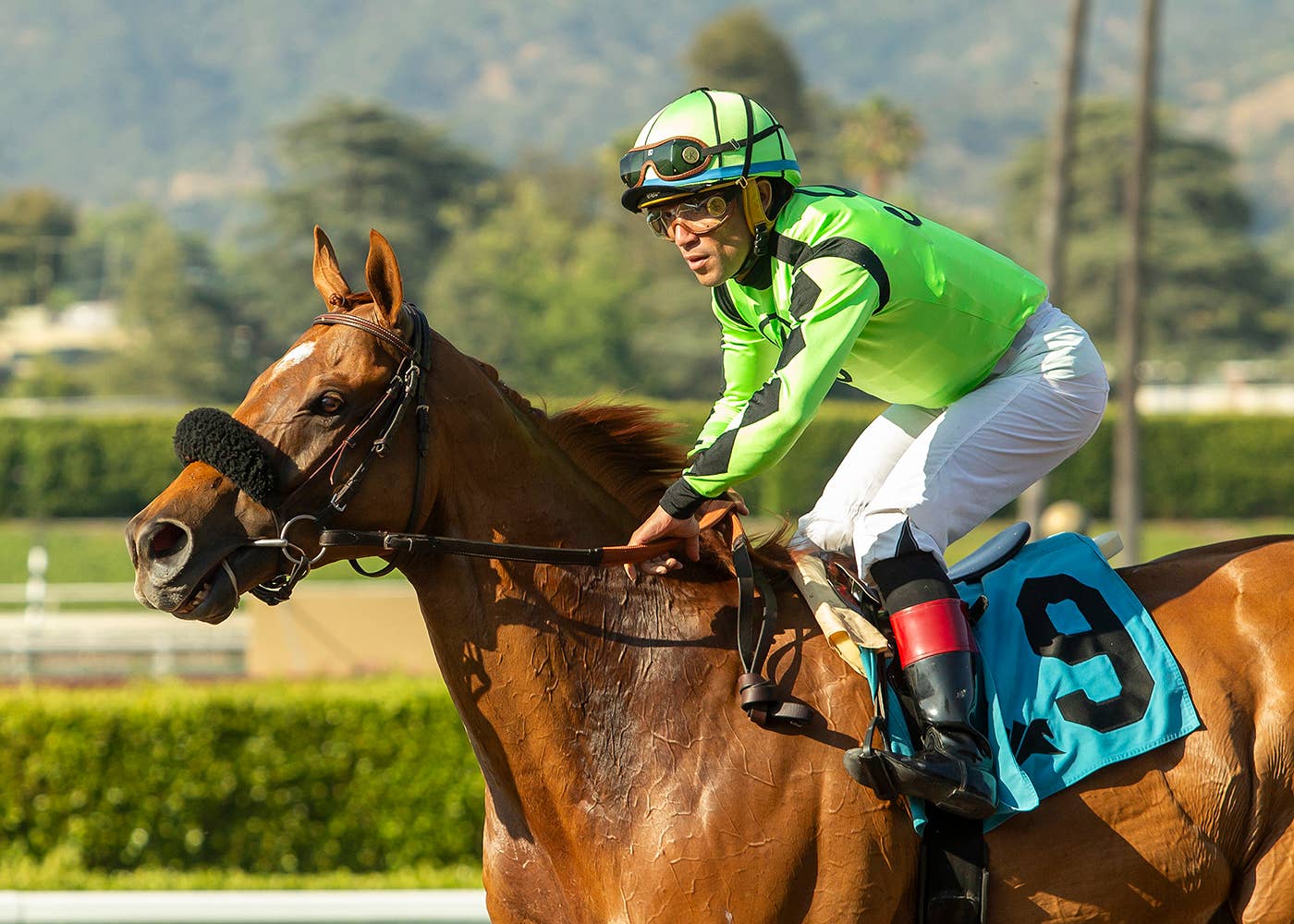 ‘Didn’t Take Me Long’: Jockey Joel Rosario Captures Siren Lure Stakes ...