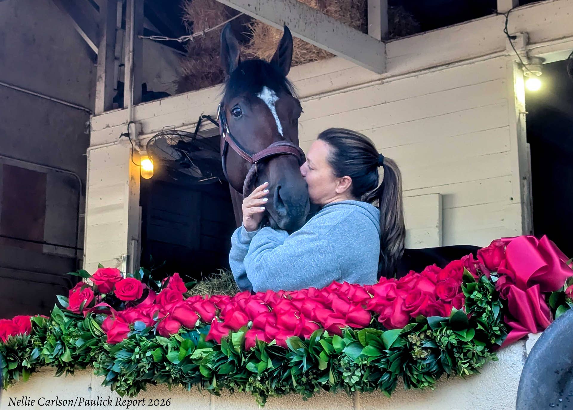For Horse Girls Everywhere, Golden Tempo Carried The Weight - Paulick ...