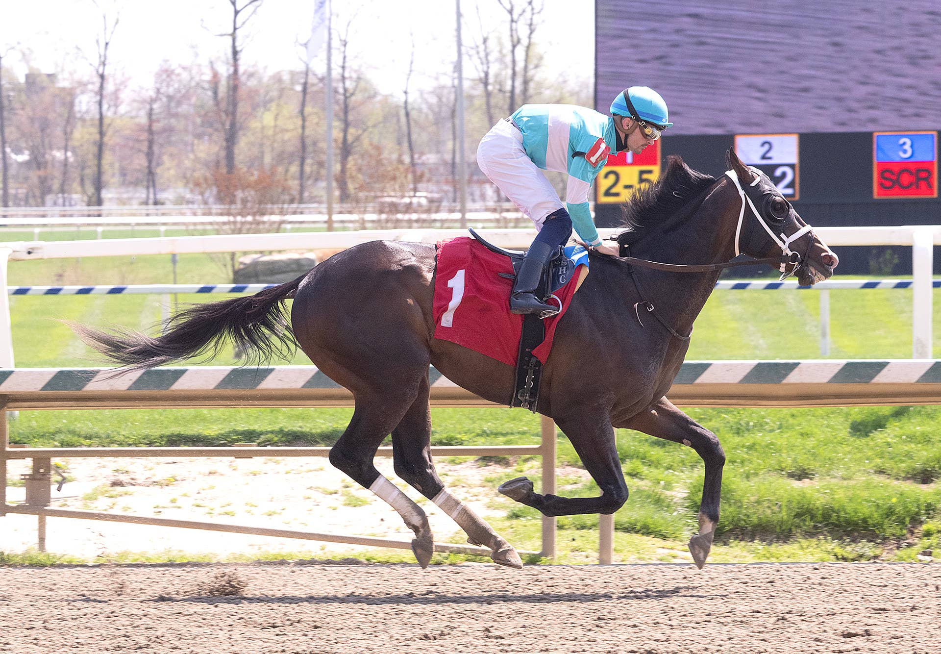 Falcon Jet Soaring into Sir Barton Off Maiden Triumph - Paulick Report