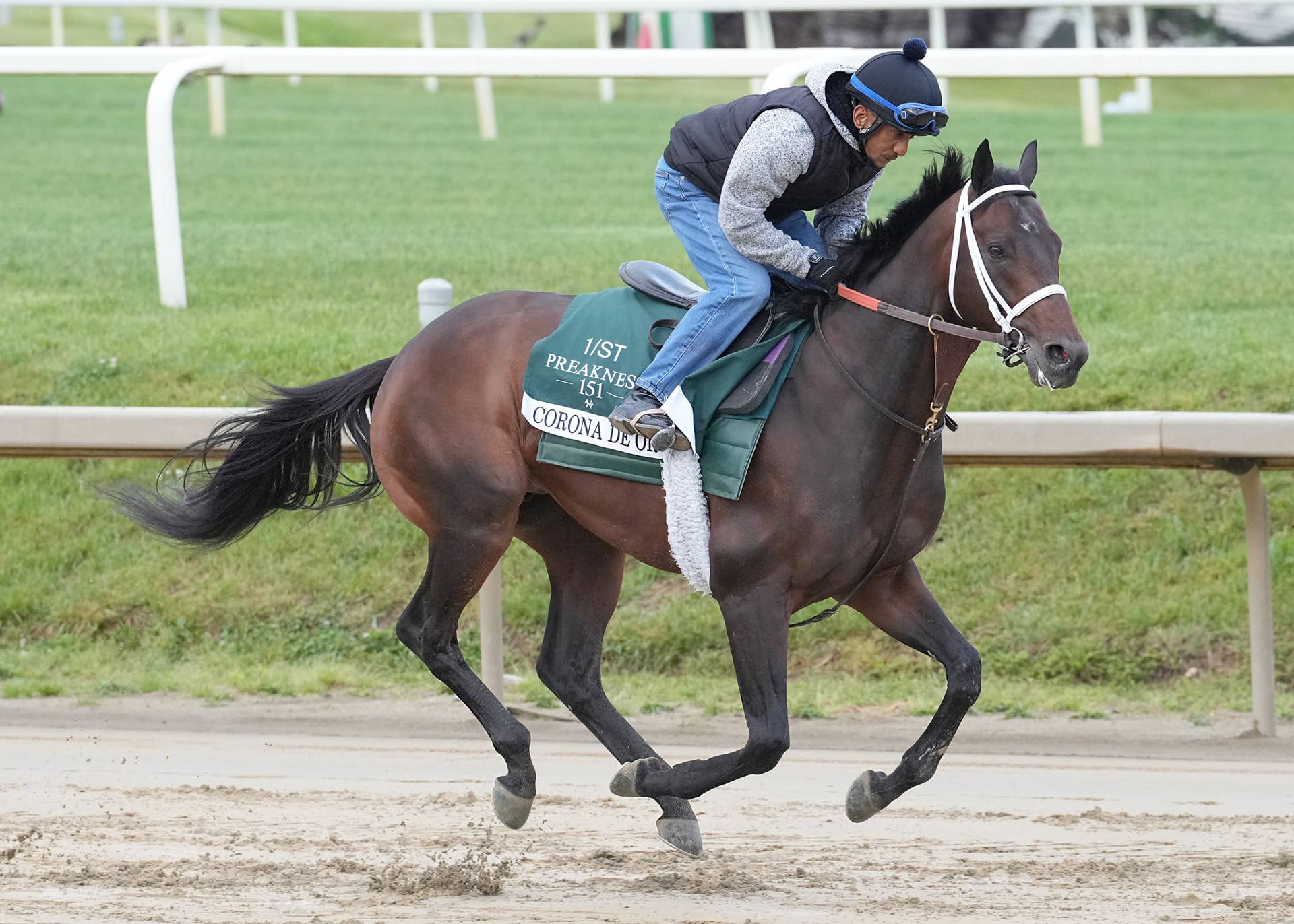 Dallas Stewart Seeks The Longshot Magic Again With Corona De Oro In ...
