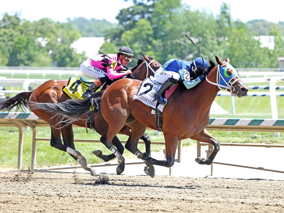 Local Horse Big Cuddle Pulls Off Sir Barton Upset - Paulick Report