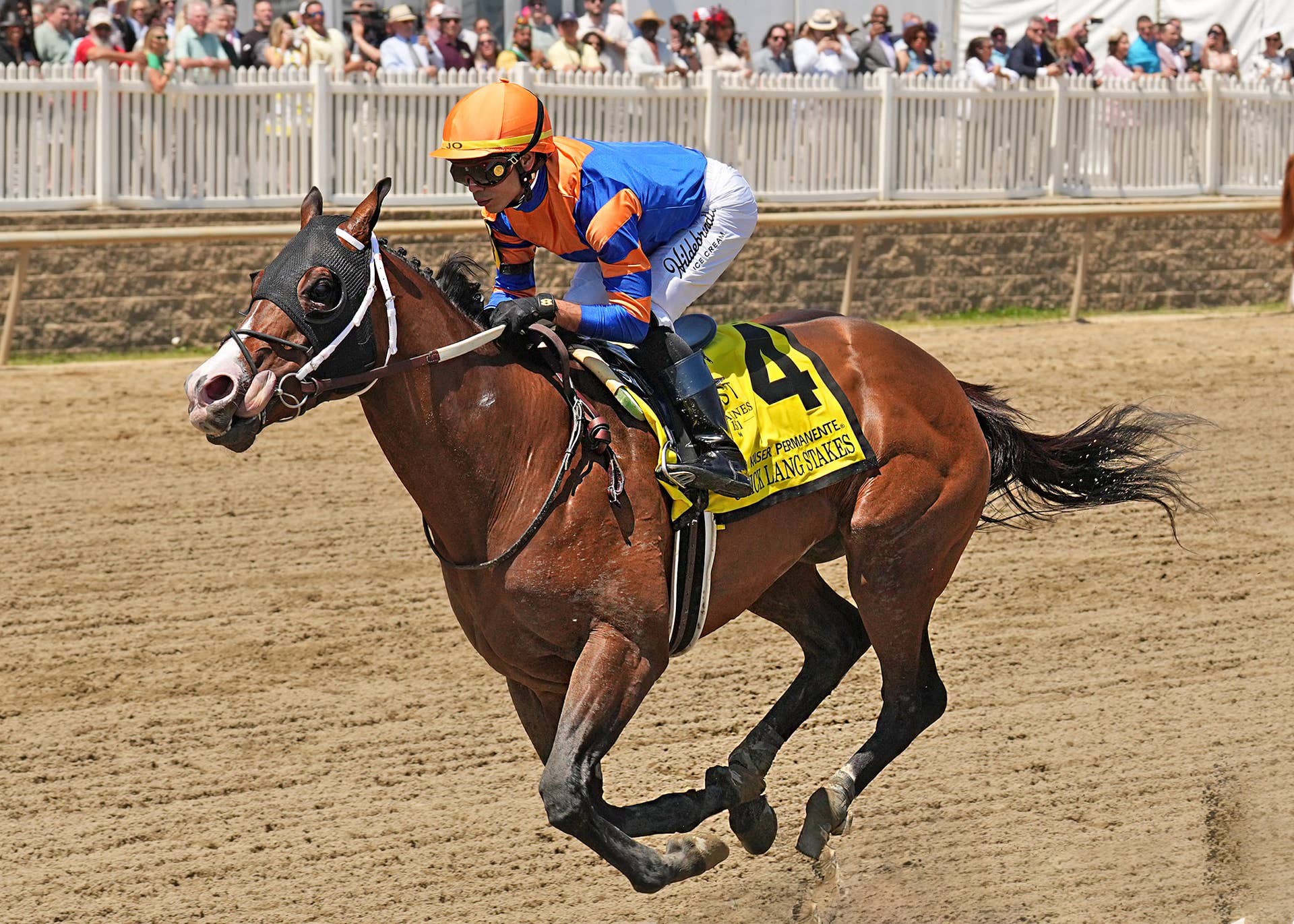 Obliteration Makes Winning Stateside Return In Chick Lang Stakes ...