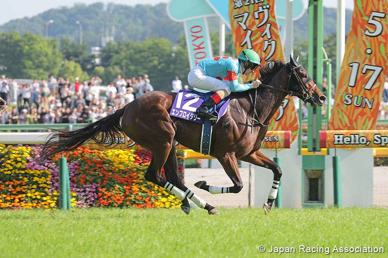 Japanese Champion Embroidery Secures Breeders' Cup Berth With Victoria ...