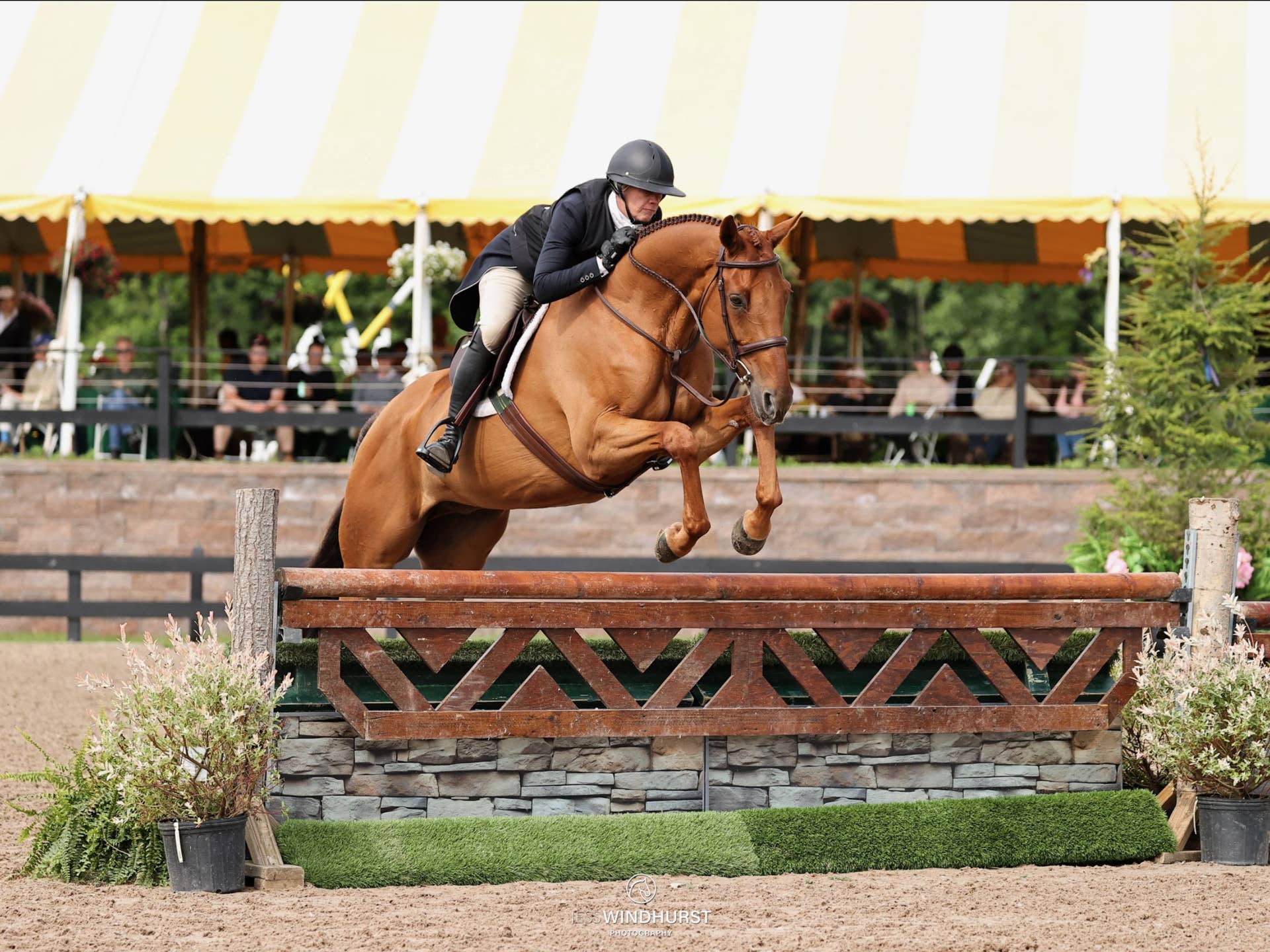 TAKE2 Thoroughbred Hunter Classics Near Saratoga Get $20,000 Boost ...