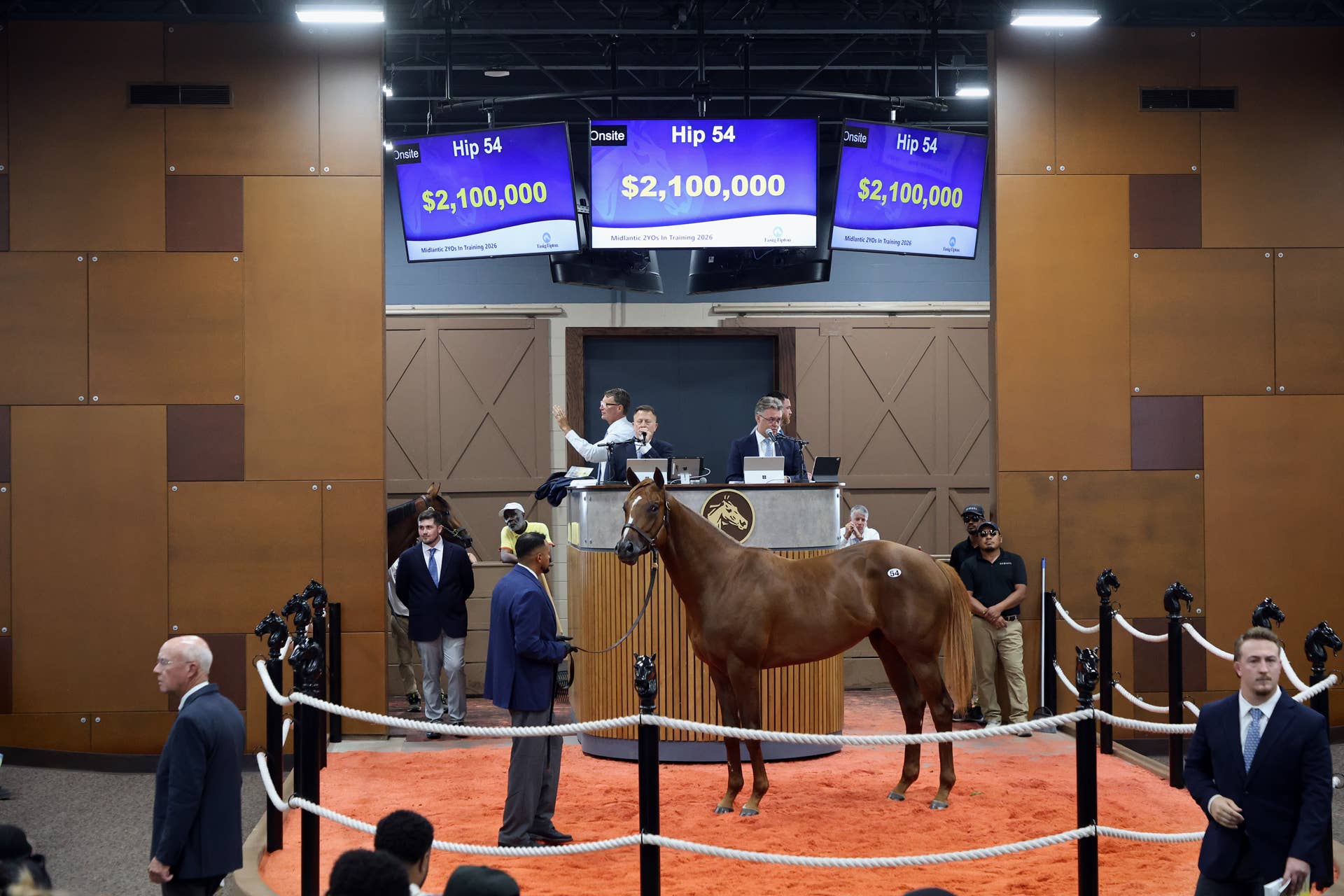 Flightline Colt Sells for $2.1 Million To Top Opening Session Of Fasig ...
