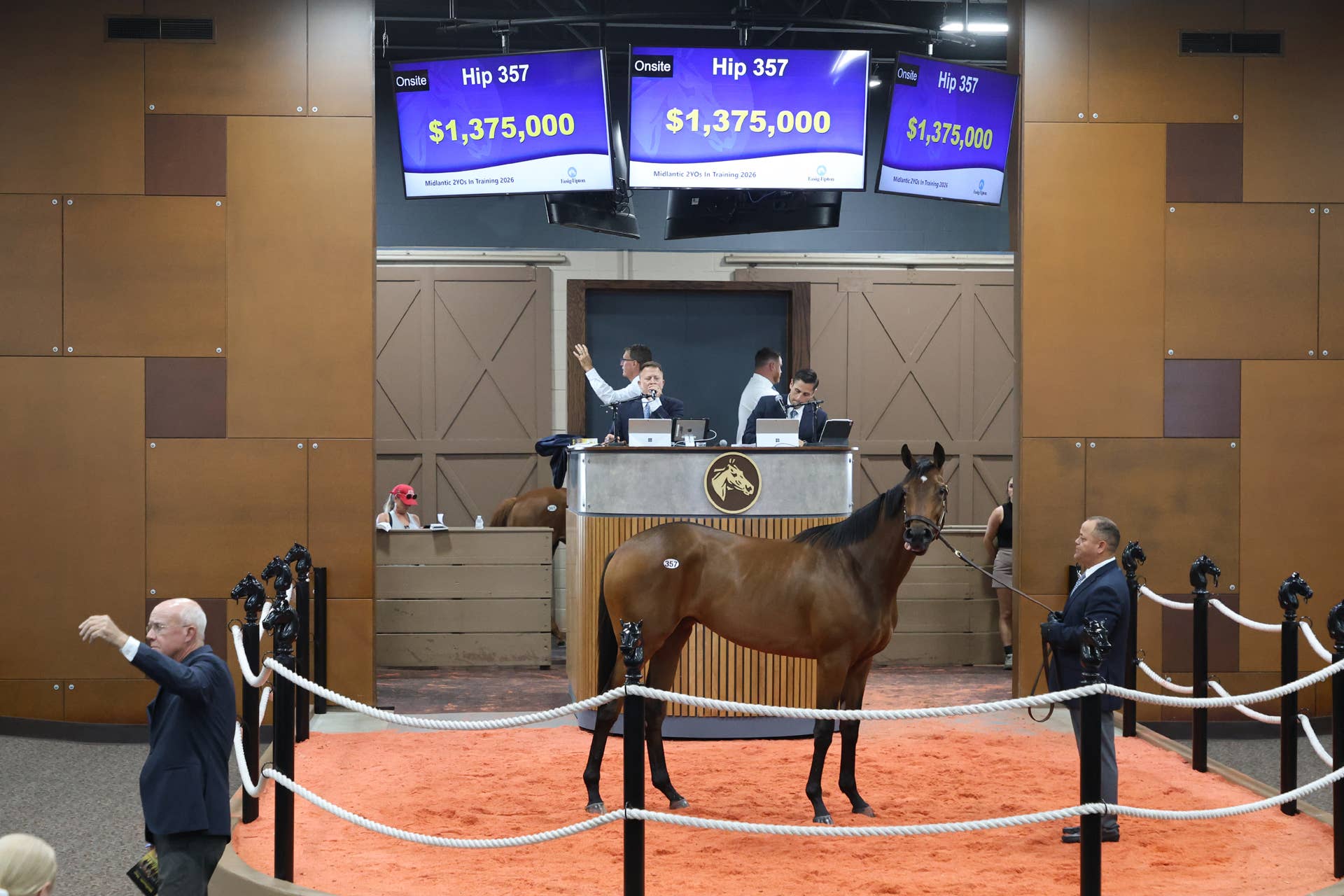 Gun Runner Filly, Corniche Colt Top Final Session Of Record Fasig ...