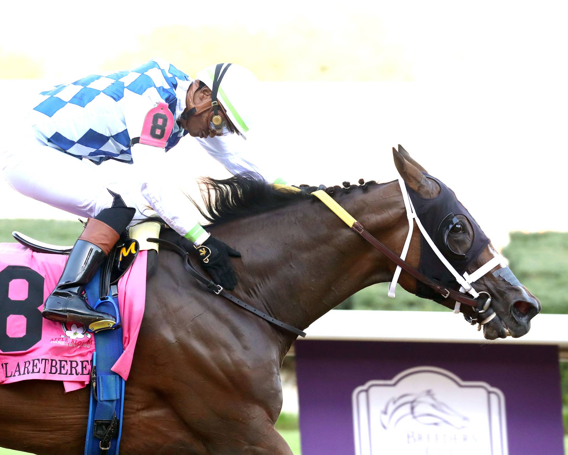 Report: Apple Blossom Winner Claret Beret Dies After Palm Meadows ...